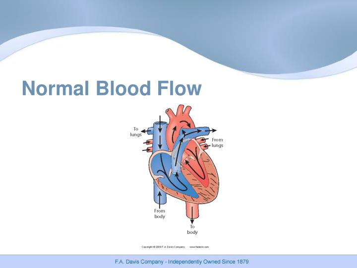PPT - Chapter 27 PowerPoint Presentation - ID:472103