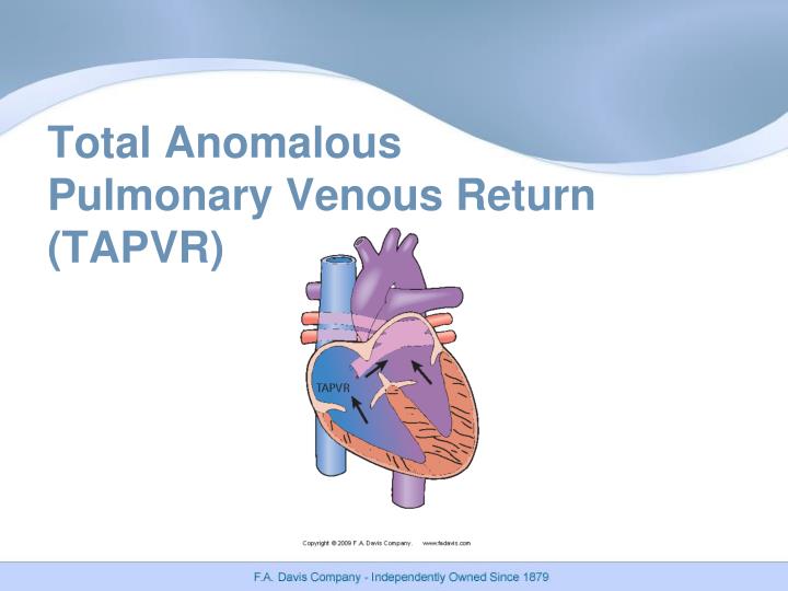 PPT - Chapter 27 PowerPoint Presentation - ID:472103