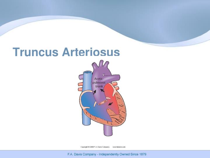 PPT - Chapter 27 PowerPoint Presentation - ID:472103