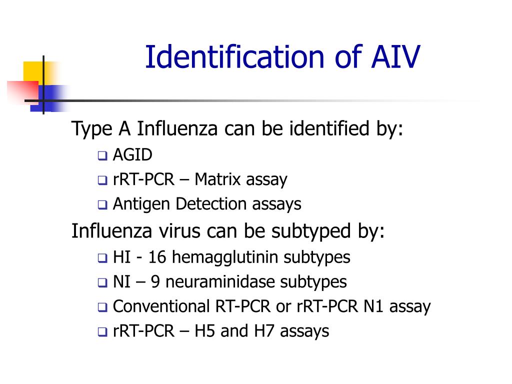 PPT - Characterization and Pathotyping of AIV and APMV-1 PowerPoint ...