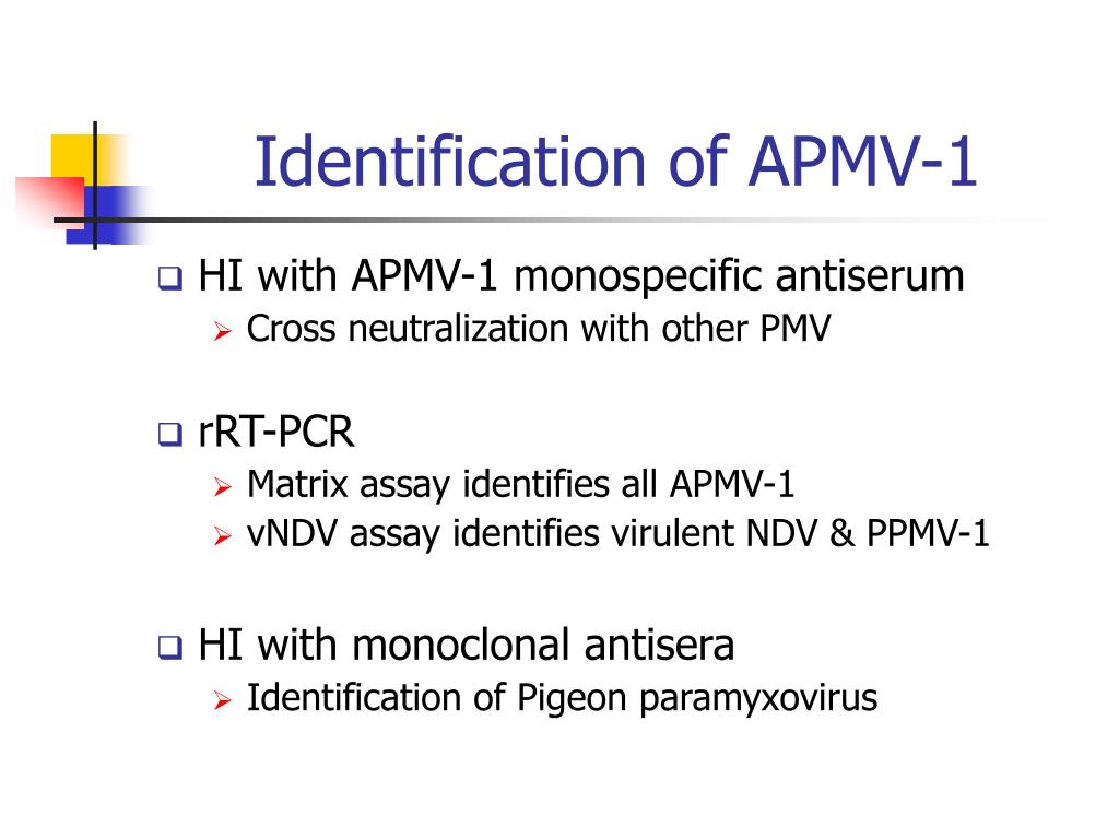 PPT - Characterization and Pathotyping of AIV and APMV-1 PowerPoint ...