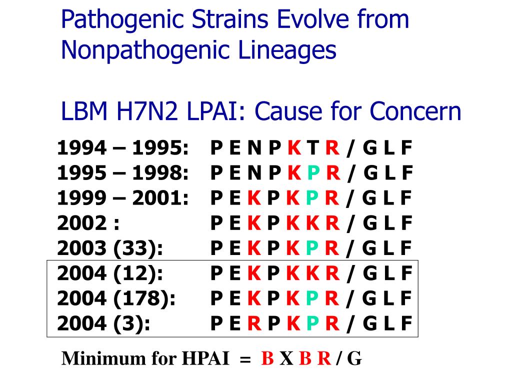 PPT - Characterization and Pathotyping of AIV and APMV-1 PowerPoint ...