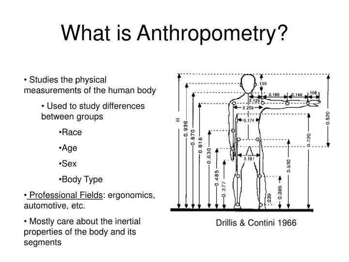 PPT - Anthropometry (Chapter 3 – Body Segment Parameters) PowerPoint ...