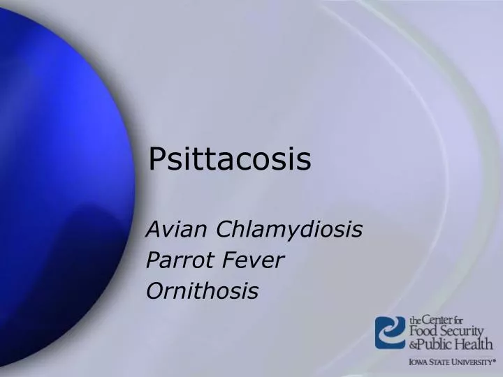 PPT - Psittacosis PowerPoint Presentation, free download - ID:473032