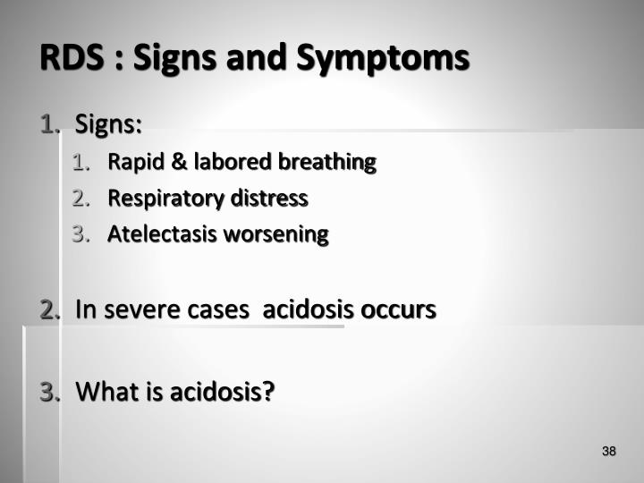 PPT - Respiratory System PowerPoint Presentation - ID:473560