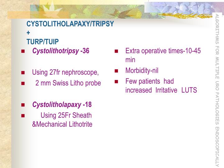 PPT - EVOLVING ENDOSCOPIC ALGORITHMS FOR MULTIPLE UROLOGICAL ...