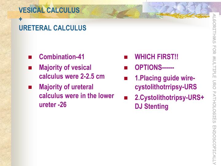 PPT - EVOLVING ENDOSCOPIC ALGORITHMS FOR MULTIPLE UROLOGICAL ...