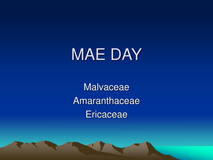 PPT - MAE DAY PowerPoint Presentation, free download - ID:474429