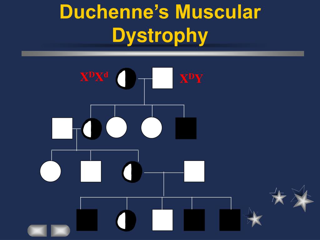 PPT - Human Pedigree and Genetic Disease PowerPoint Presentation, free ...
