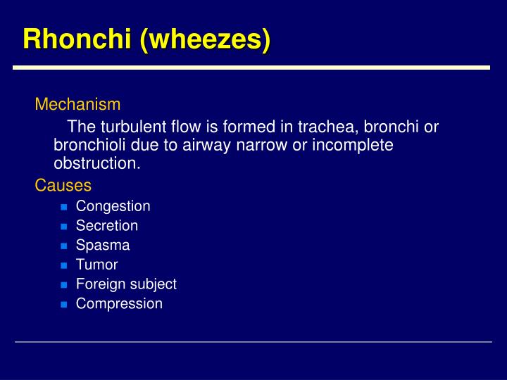 PPT - Physical Examination in Respiratory System PowerPoint ...