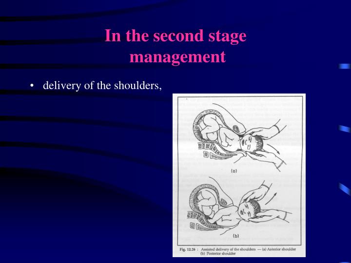 PPT - Normal labor and delivery PowerPoint Presentation - ID:475415
