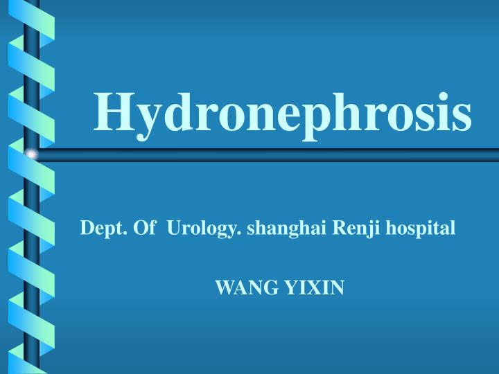 PPT - Hydronephrosis PowerPoint Presentation, free download - ID:476438