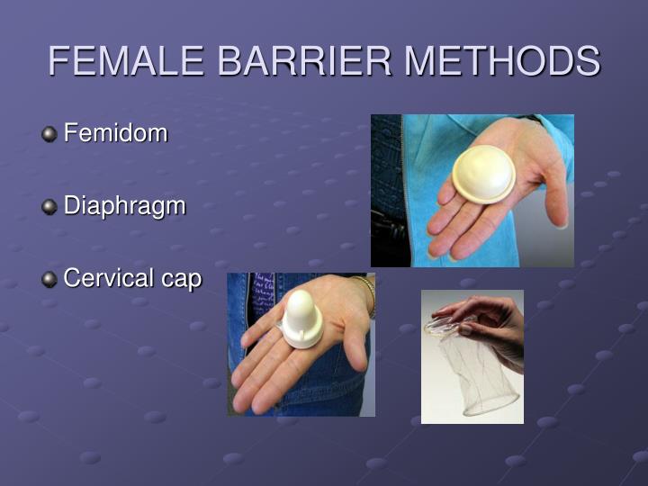PPT - CONTRACEPTION for GPs PowerPoint Presentation - ID:476542