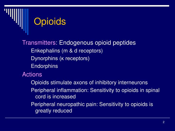 PPT - OPIOIDS - Pharmacology PowerPoint Presentation - ID:476624