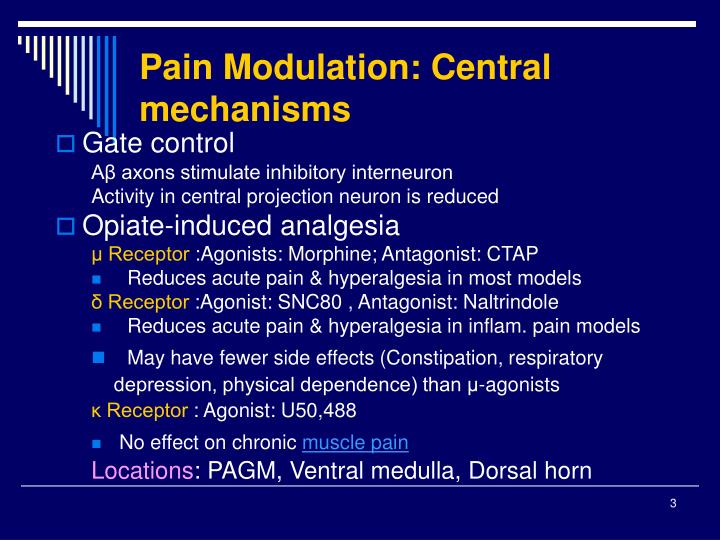 PPT - OPIOIDS - Pharmacology PowerPoint Presentation - ID:476624