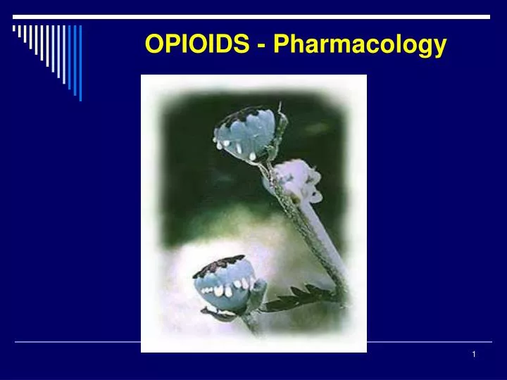 PPT - OPIOIDS - Pharmacology PowerPoint Presentation, free download ... PPT - OPIOIDS - Pharmacology PowerPoint Presentation, free download ...