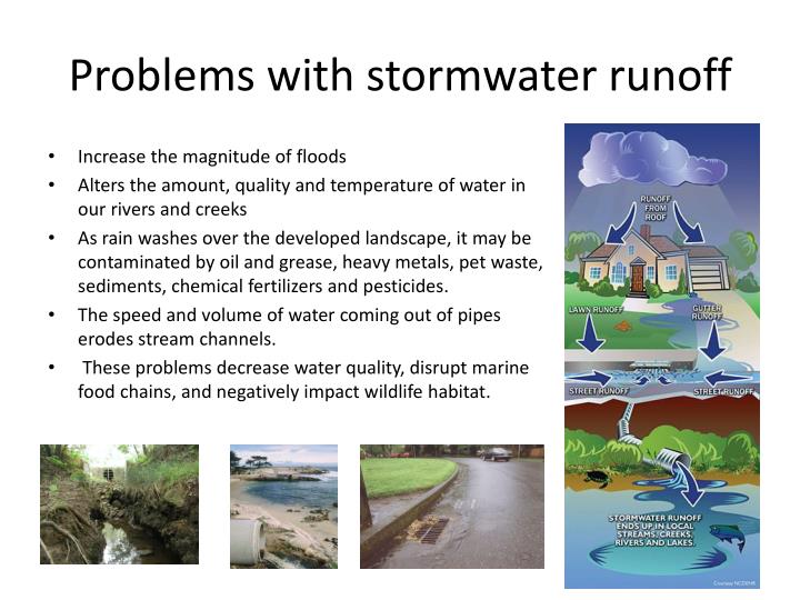 PPT - Seattle Stormwater Runoff Remediation PowerPoint Presentation ...