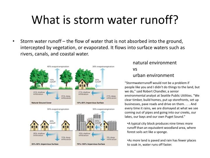 PPT - Seattle Stormwater Runoff Remediation PowerPoint Presentation ...