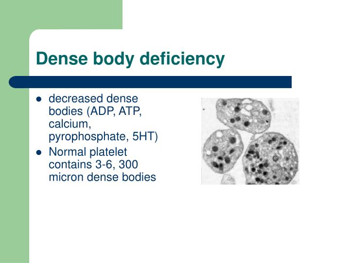 PPT - Bleeding Disorders Vascular and Platelet Disorders PowerPoint ...