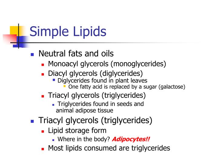 PPT - Lipid Structure and Function PowerPoint Presentation - ID:477478