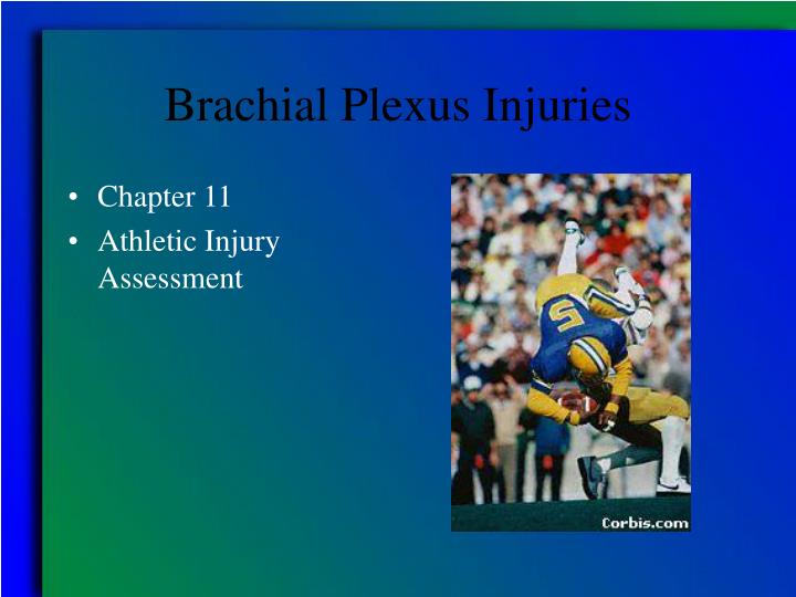 PPT - Brachial Plexus Injuries PowerPoint Presentation, free download ...