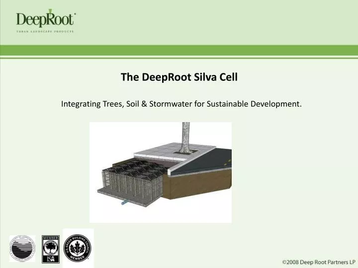 PPT - The DeepRoot Silva Cell Integrating Trees, Soil & Stormwater for ...