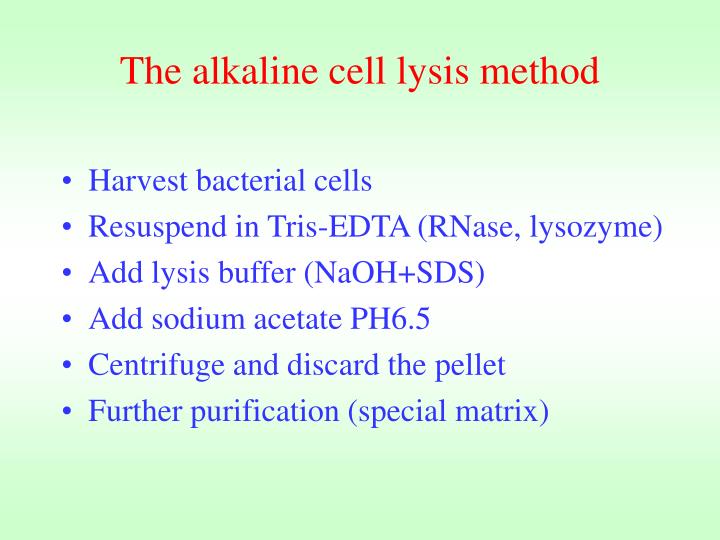 PPT - Plasmid DNA Isolation and Restriction Mapping PowerPoint ...