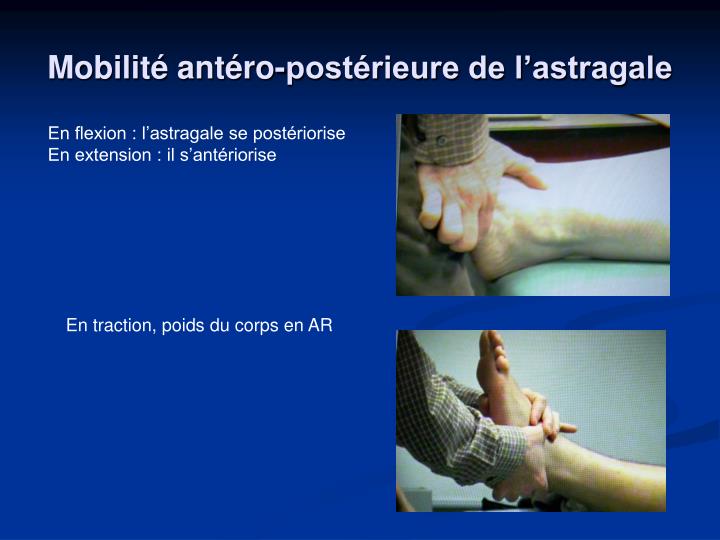 PPT - Pied et Cheville PowerPoint Presentation - ID:478879