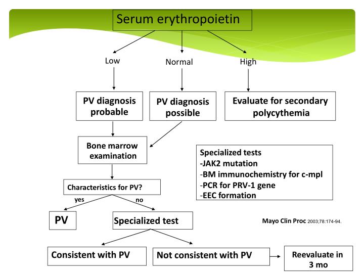 PPT - Erythrocytosis (Polycythemia) PowerPoint Presentation - ID:479320