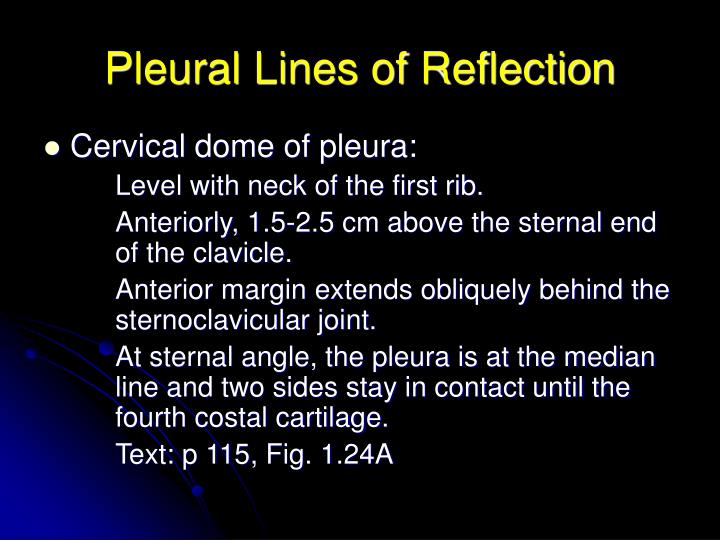 PPT - THORACIC CAVITY PowerPoint Presentation - ID:479328