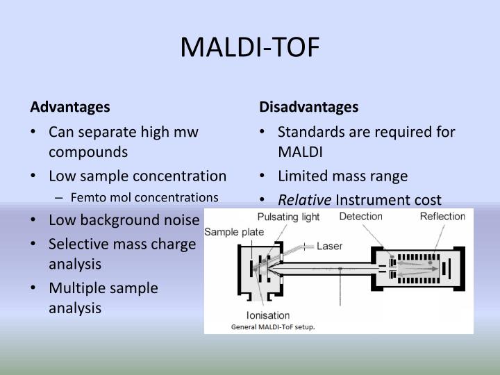 PPT - Degradation of Polymers PowerPoint Presentation - ID:479374