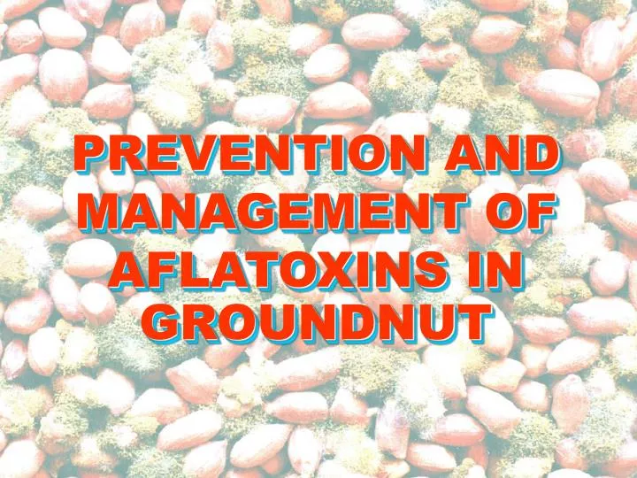 PPT - PREVENTION AND MANAGEMENT OF AFLATOXINS IN GROUNDNUT PowerPoint ...