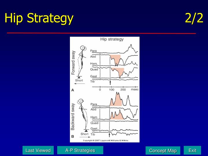 PPT - Postural Control and Balance PowerPoint Presentation - ID:480365