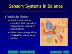 PPT - Postural Control and Balance PowerPoint Presentation - ID:480365