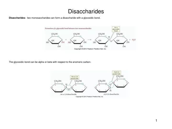 PPT - Disaccharides PowerPoint Presentation, free download - ID:480380