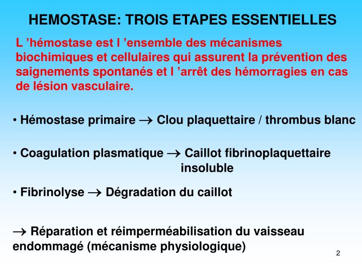 PPT - PHYSIOLOGIE DE L’HEMOSTASE PRIMAIRE PowerPoint Presentation - ID ...