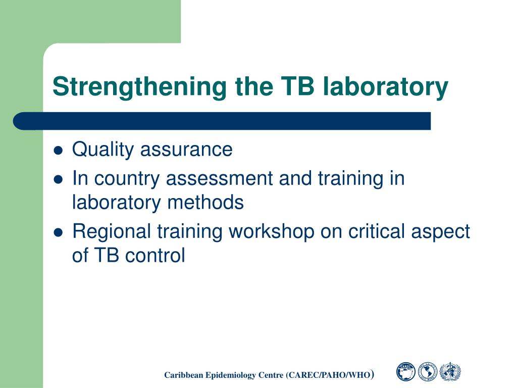 PPT - World Bank Grant for Strengthening of TB Laboratories PowerPoint ...