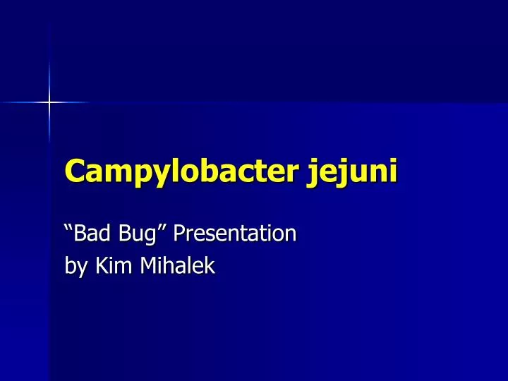 PPT - Campylobacter jejuni PowerPoint Presentation, free download - ID ...