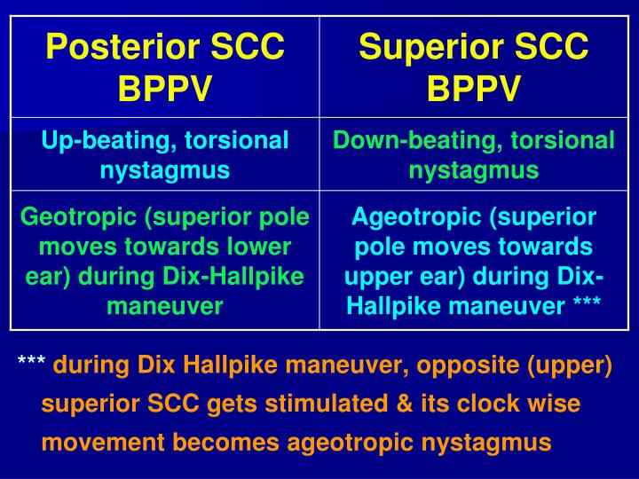 PPT - B.P.P.V. & Vestibular neuronitis PowerPoint Presentation - ID:482833