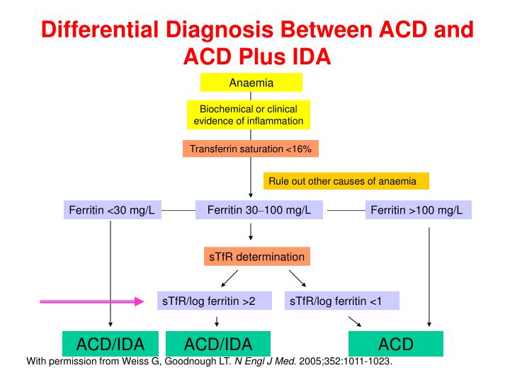 PPT - Iron Metabolism in Anaemia of Chronic Disease PowerPoint ...