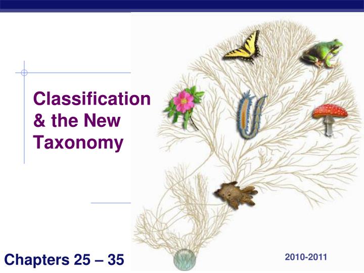PPT - Classification & the New Taxonomy PowerPoint Presentation, free ...