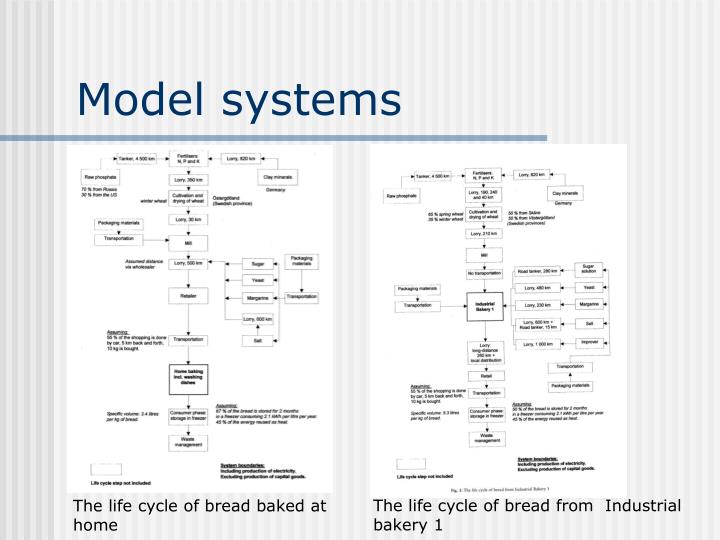 PPT - Life Cycle Assessment of Bread Produced on Different Scales ...