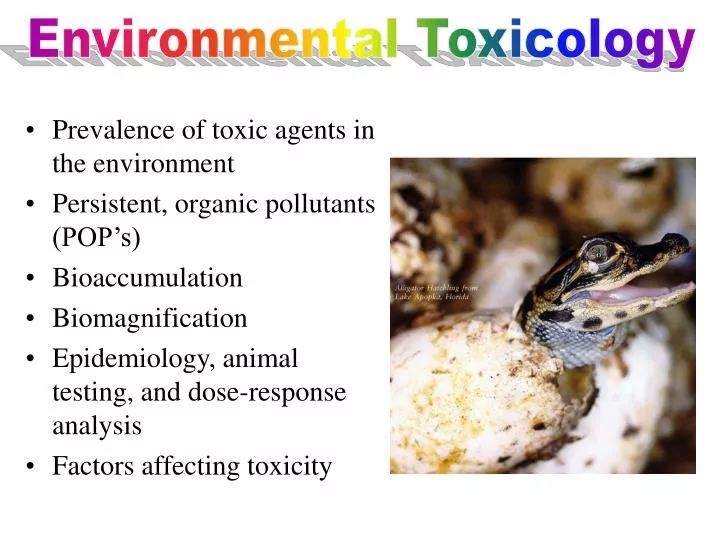 PPT - Prevalence of toxic agents in the environment Persistent, organic ...