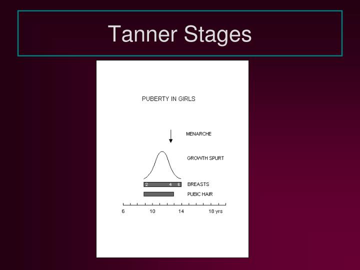 PPT - Adolescence PowerPoint Presentation - ID:485124