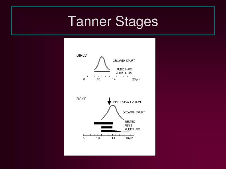 PPT - Adolescence PowerPoint Presentation - ID:485124