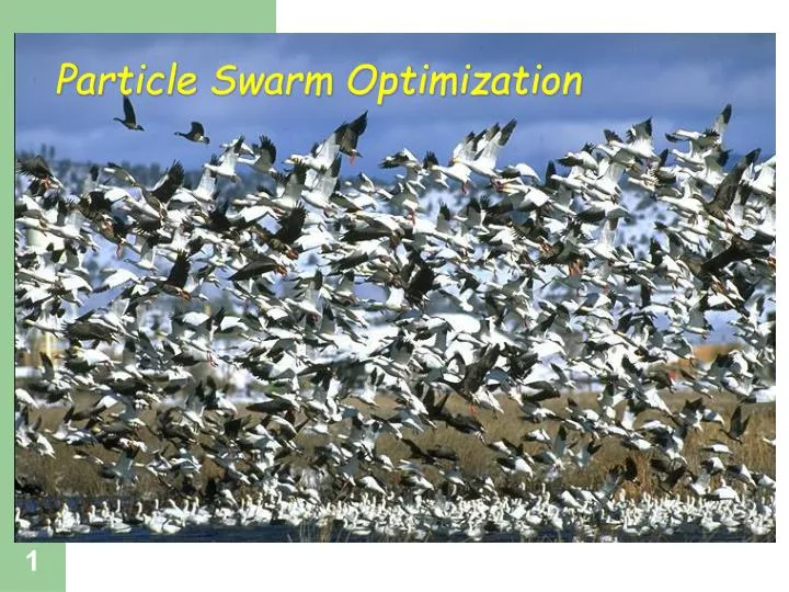 PPT - Particle Swarm Optimization PowerPoint Presentation, free ... PPT - Particle Swarm Optimization PowerPoint Presentation, free ...