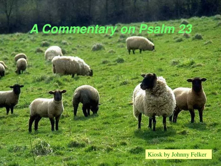 PPT - A Commentary on Psalm 23 PowerPoint Presentation, free download ...