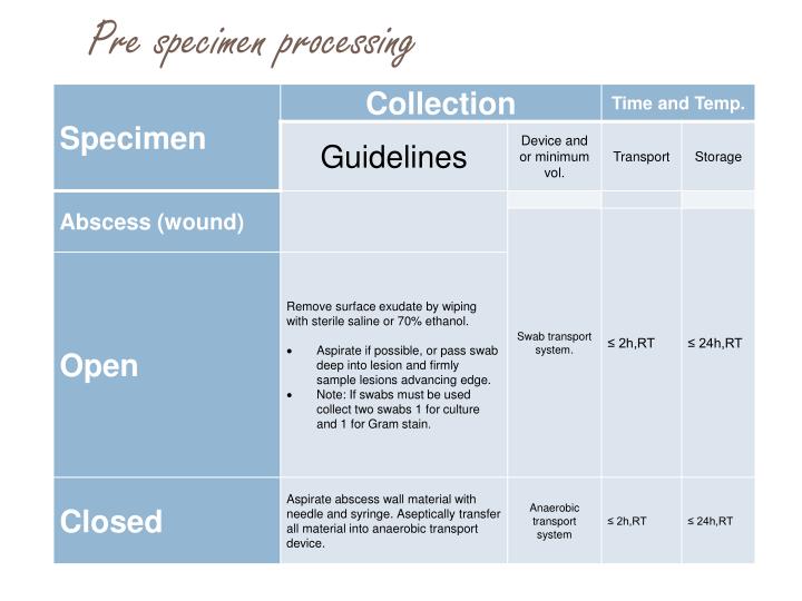 PPT - Pus (Abscesses, and sinuses) wound, and Burn Cultures PowerPoint ...