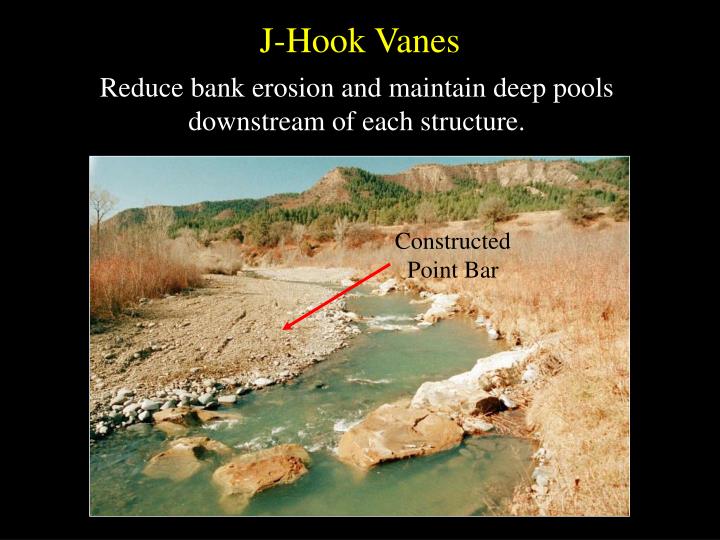 PPT - Monitoring Restoration Effectiveness on the Lower Rio Blanco ...