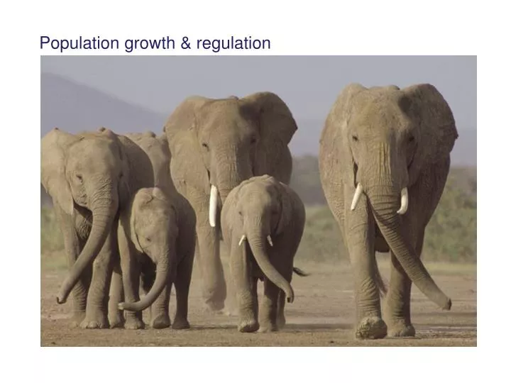 PPT - Population growth & regulation PowerPoint Presentation, free ...